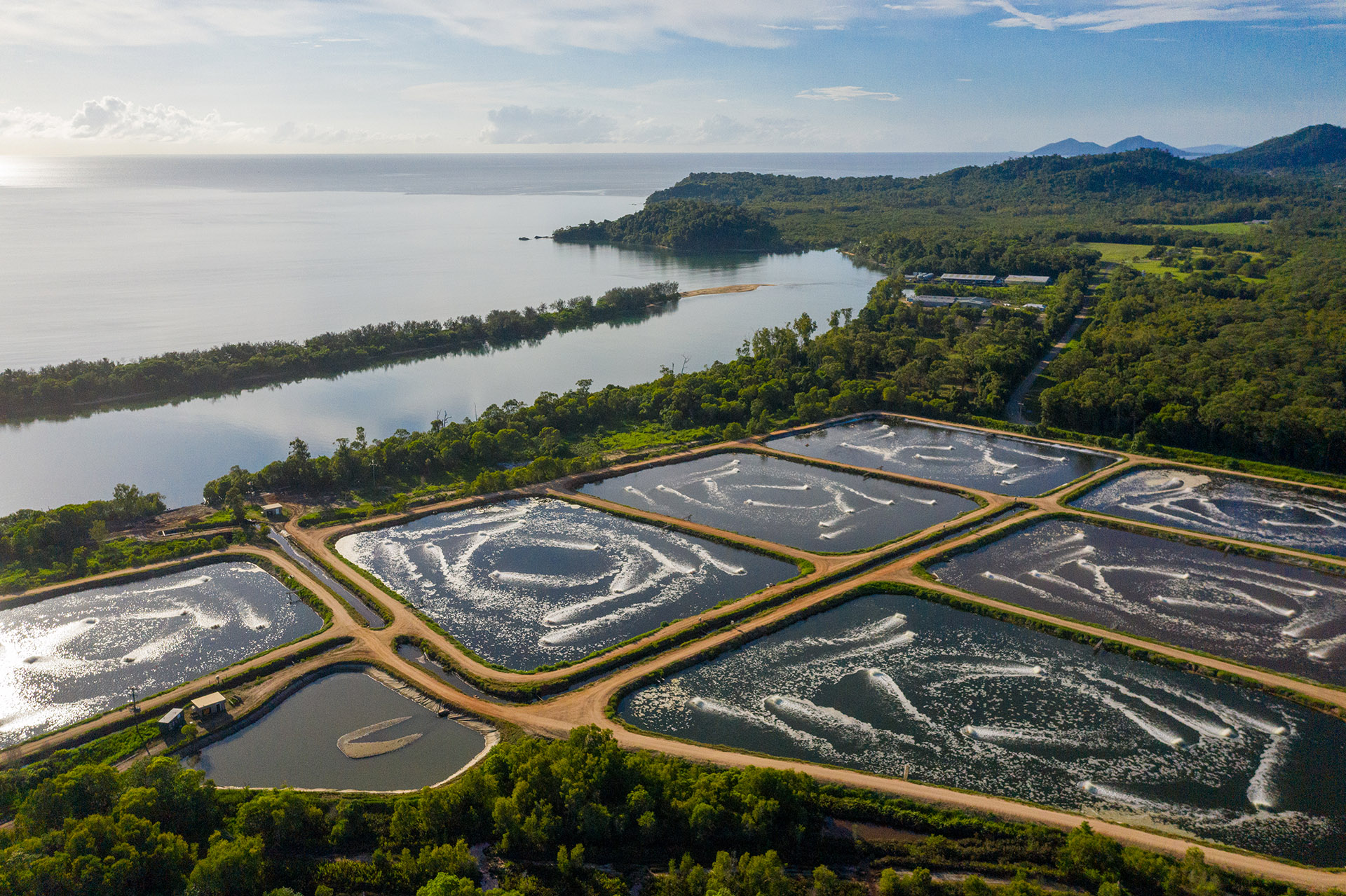 Seafood Media Group - Worldnews - Tassal integrates farm holdings to ...