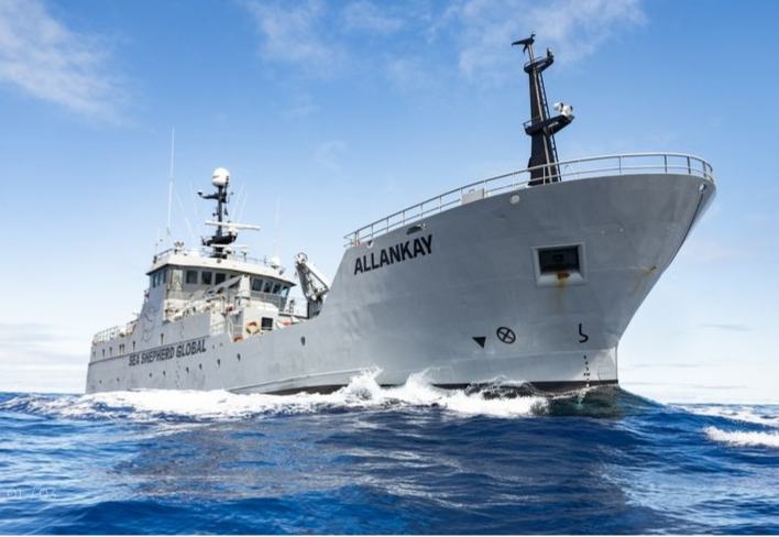 Seafood Media Group - Worldnews - Sea Shepherd introduces toothfish ...
