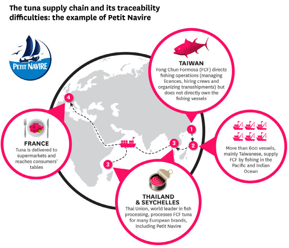 Where Is Tuna On The Food Chain at Russell Canter blog