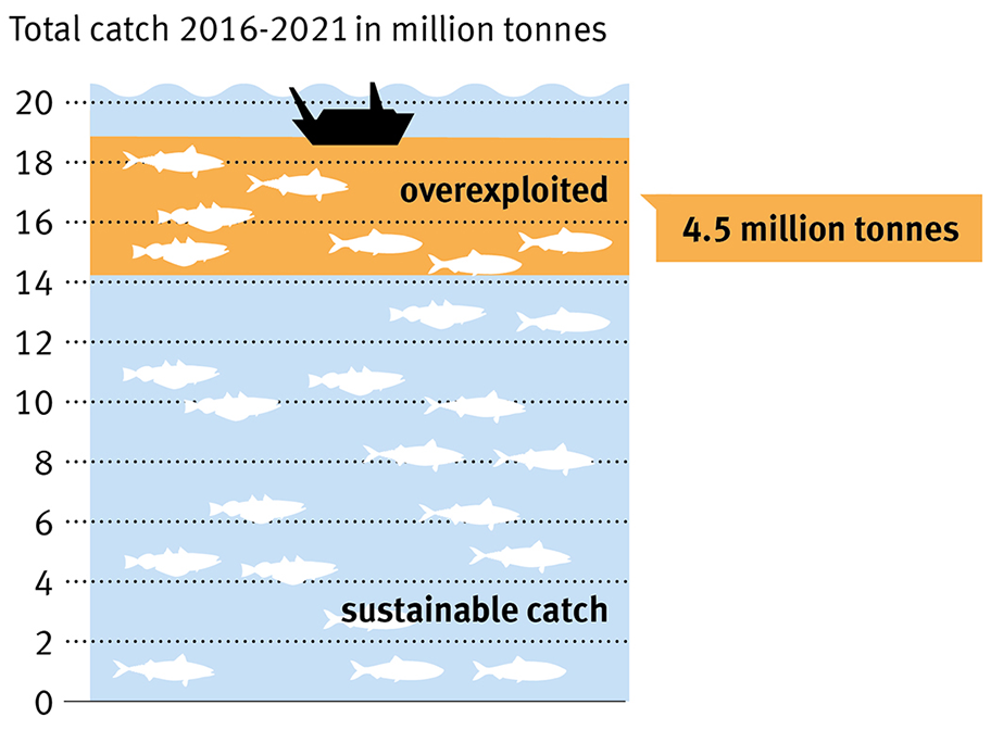 Seafood Media Group - Worldnews - PRESS RELEASE: Napa and the MSC Unite