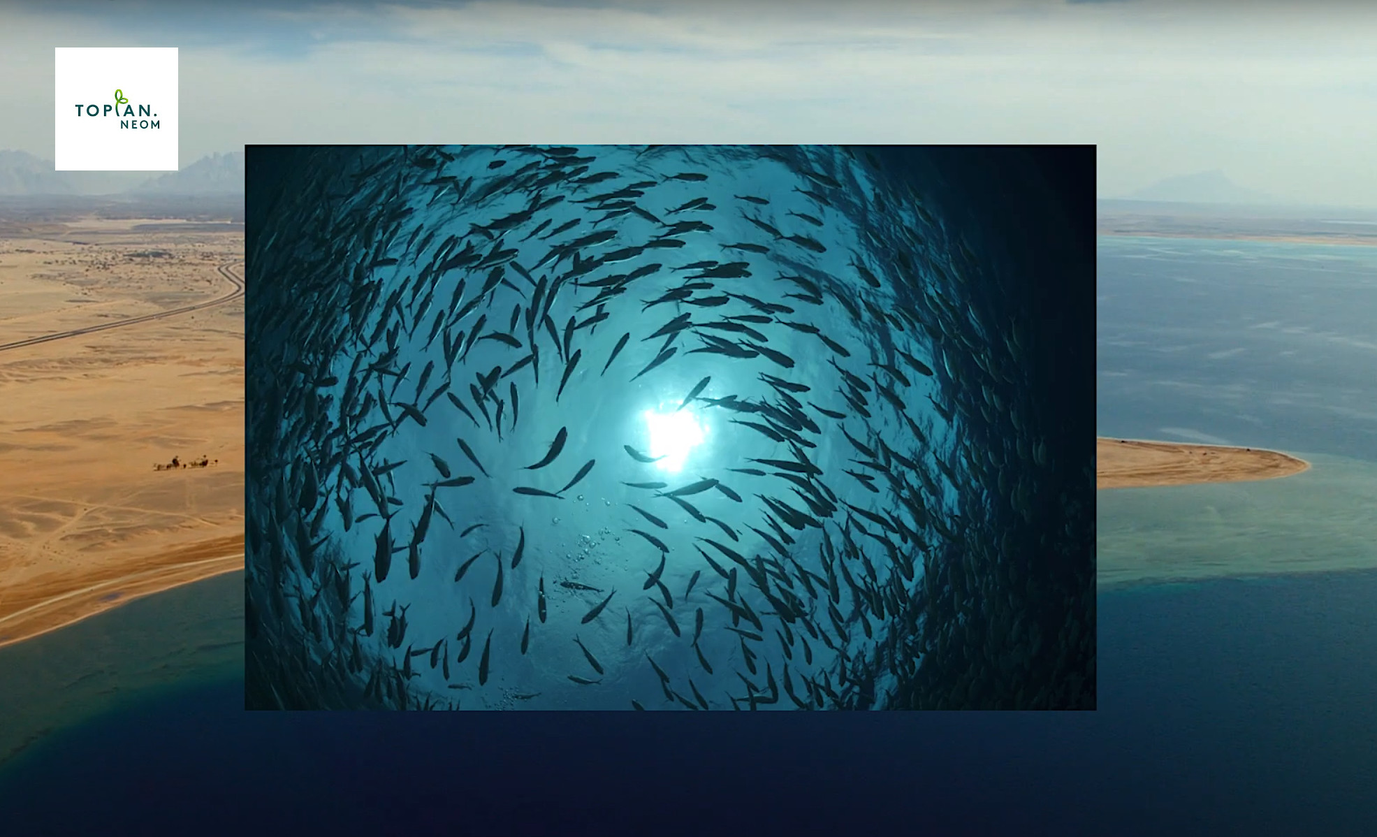 Seafood Media Group - Noticias - Se lanza NEOM Food Company 'Topian ...