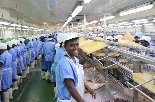 Seafood Media Group - Worldnews - Fisheries Minister Outlines 2022 ...