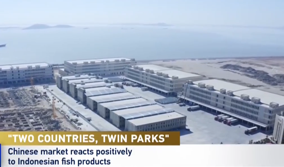 Seafood Media Group - Worldnews - China-Indonesia project of Two ...