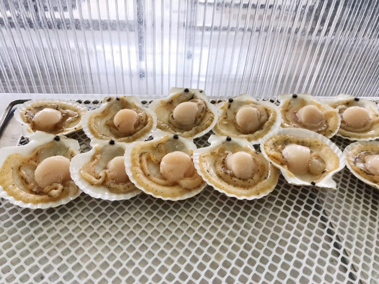 Seafood Media Group - Worldnews - Scallop farming are growing in ...