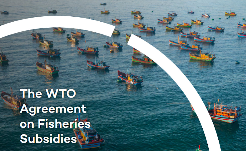 Seafood Media Group - Worldnews - Japan adds donations to help LDCs ...