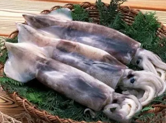 Seafood Media Group - Worldnews - As sea temperature California squid ...