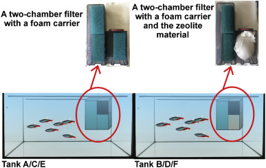Seafood Media Group - Worldnews - Benefits of Zeolite in Aquaculture ...