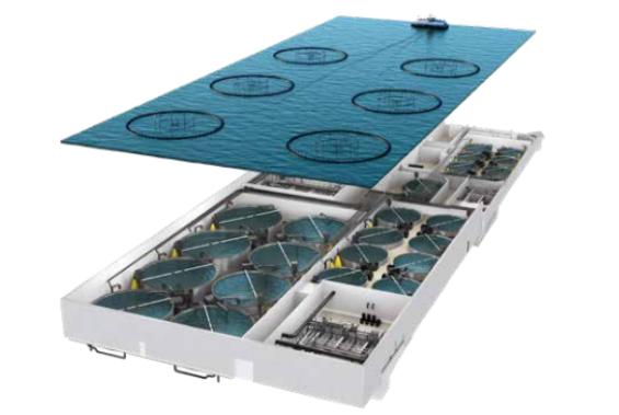 Seafood Media Group - Noticias - AKVA firma contrato de venta y ...