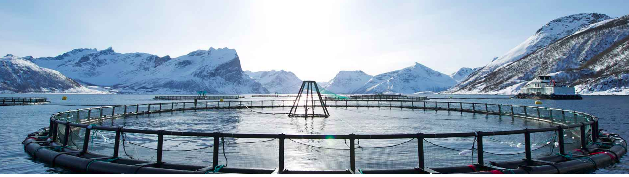 FIS - Suppliers - Company Details