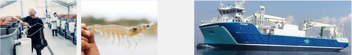 FIS - Suppliers - Company Details