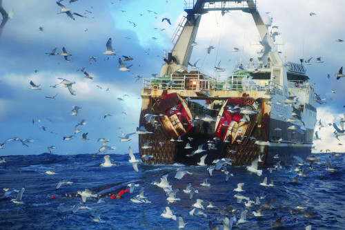 Seafood Media Group - Worldnews - Increased Catch and Reduced Bottom ...
