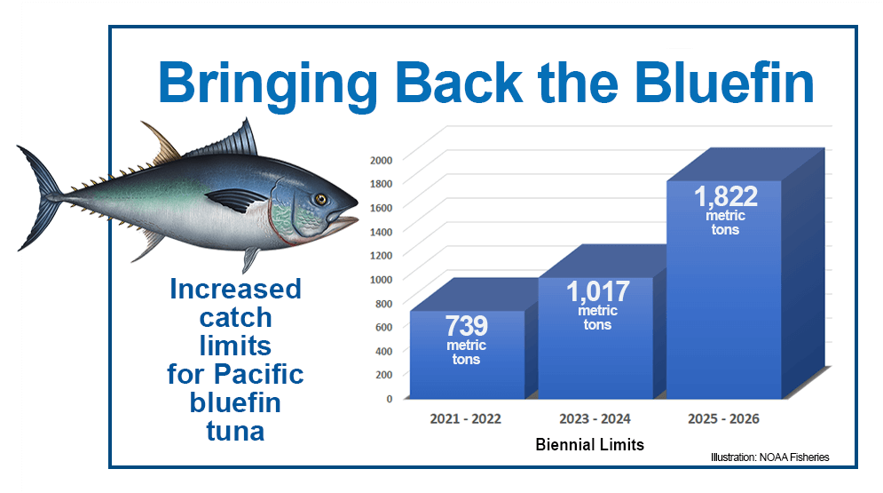 Seafood Media Group - Worldnews - More U.S.-Caught Pacific Bluefin Tuna ...