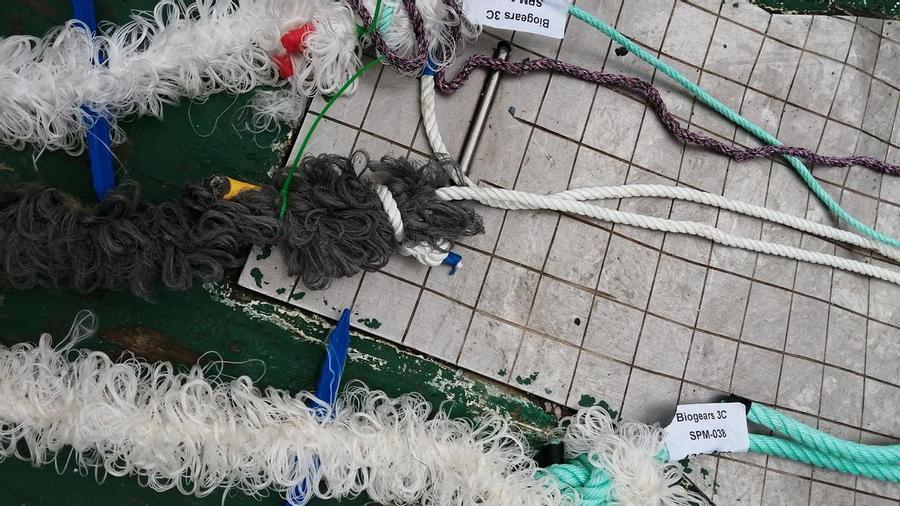 FIS - Companies & Products - Bio ropes are being investigated in ...