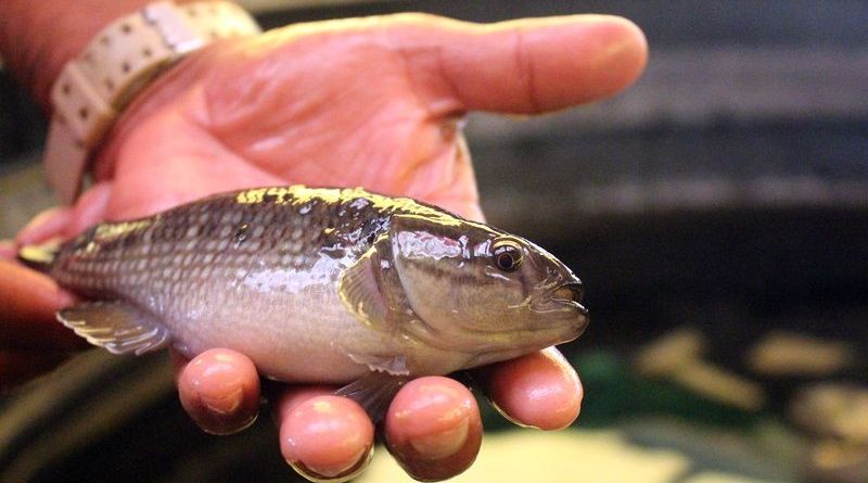 Seafood Media Group - Worldnews - Technology promoted for farming ...