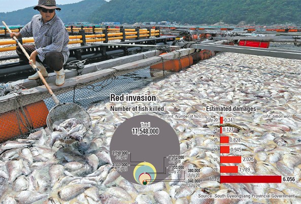 Seafood Media Group - Worldnews - Strong heatwave causes mortality in ...