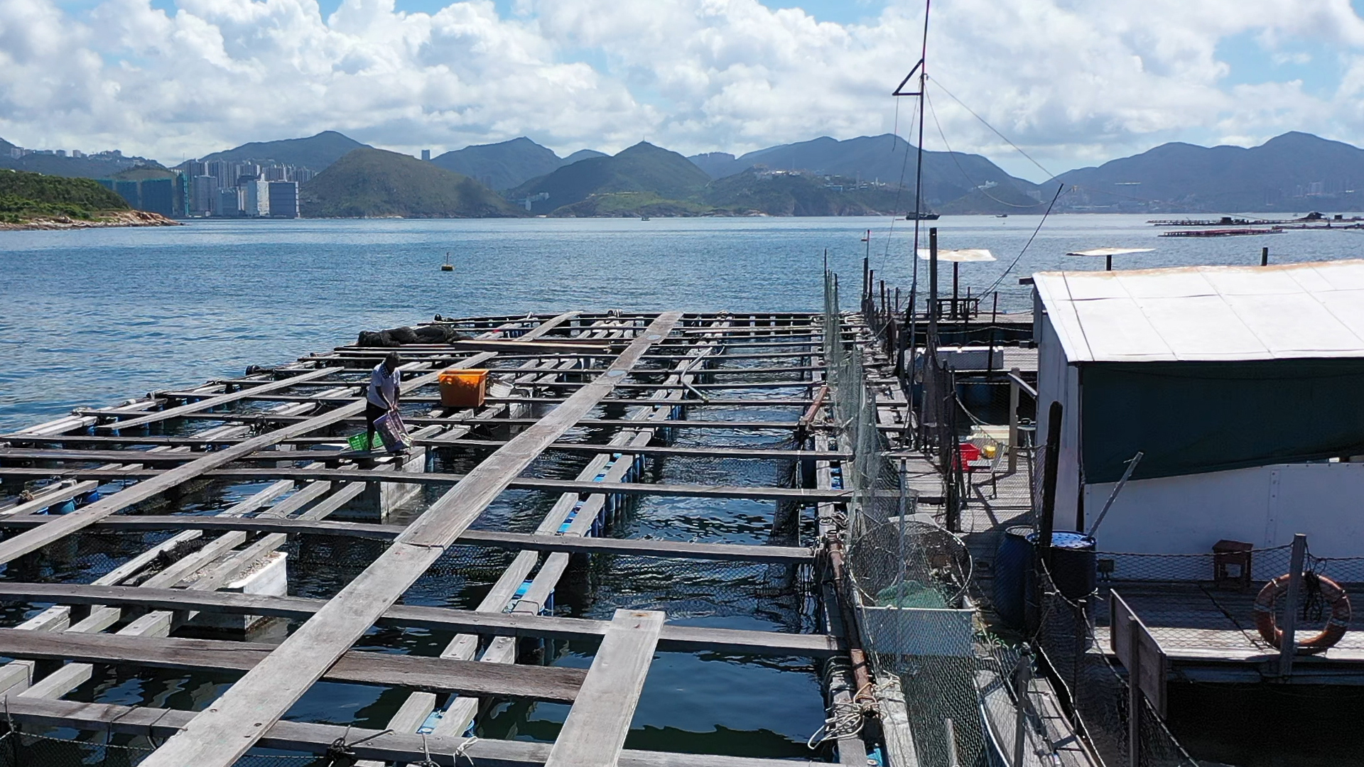 Seafood Media Group - Worldnews - Guangdong: Eradicate domestic and ...