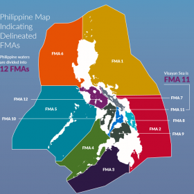 Seafood Media Group - Worldnews - DA forges fisheries deal with Papua ...