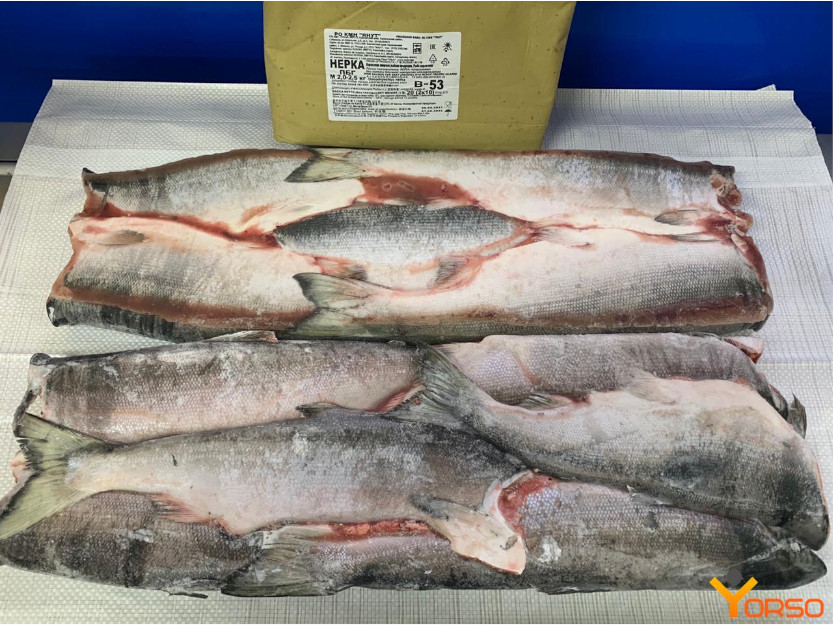 Seafood Media Group - Worldnews - Salmon caviar production triples