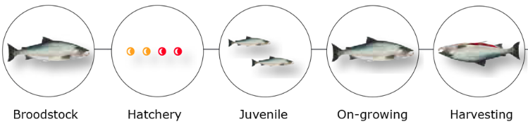 FIS - Suppliers - Company Details