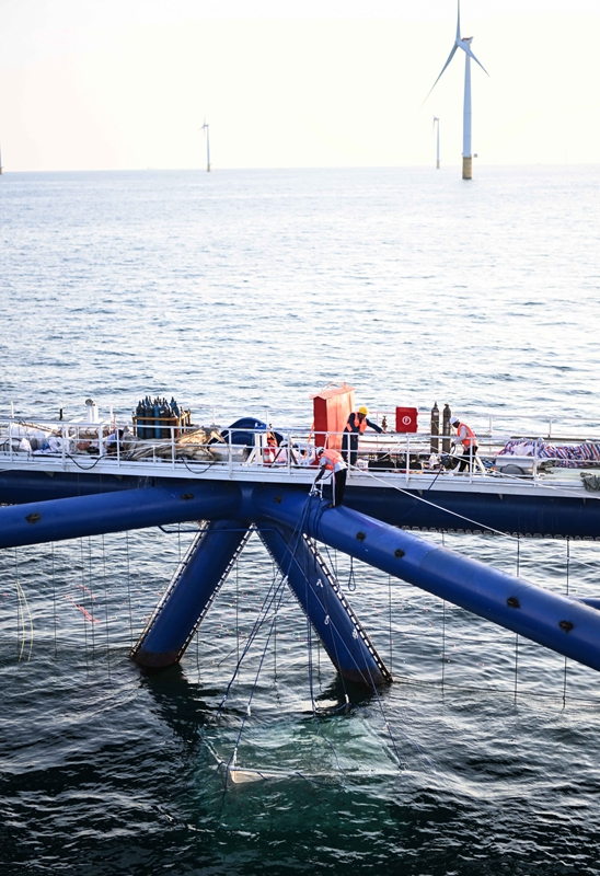 FIS - Companies & Products - China launches 1st wind power-fish to ...