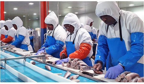 Seafood Media Group - Worldnews - Namibian fishery is second in Africa ...
