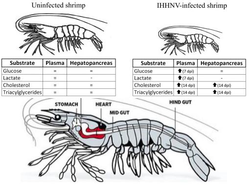 Seafood Media Group - Worldnews - China maintains restrictions on ...