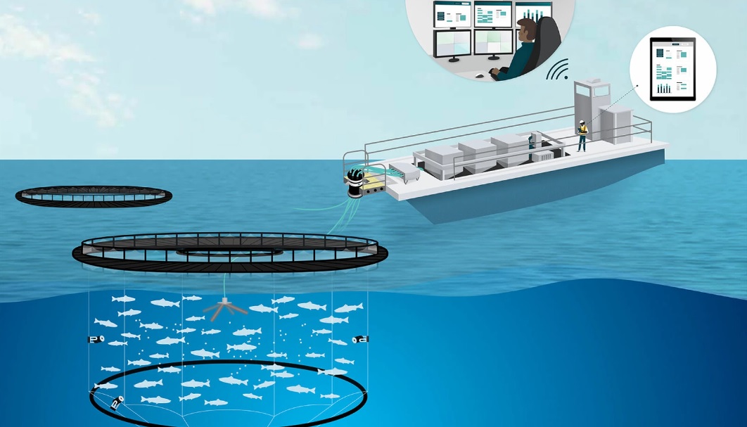 FIS - Compañías y Productos - FlowFeeder de Innovasea es un enfoque ...