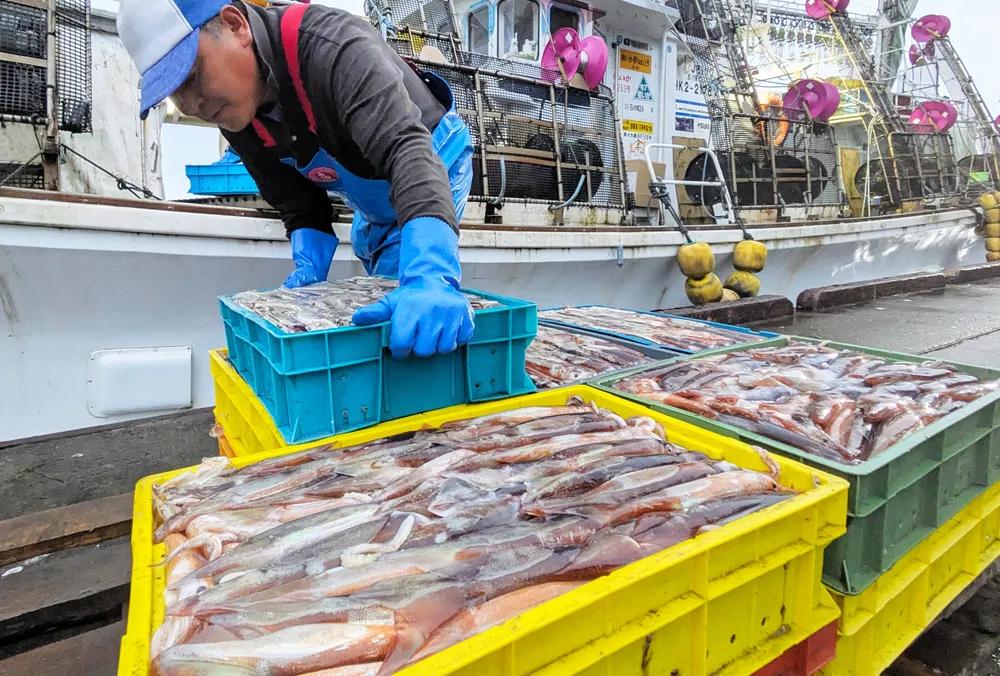 Seafood Media Group - Worldnews - Overfishing Alert: Japan Suspends ...