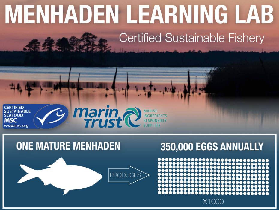 Seafood Media Group - Worldnews - Omega Protein fishery agrees to new ...