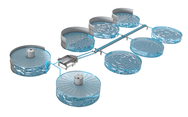 FIS - Companies & Products - MMC First Process with extensive delivery to Hima Seafood in Rjukan