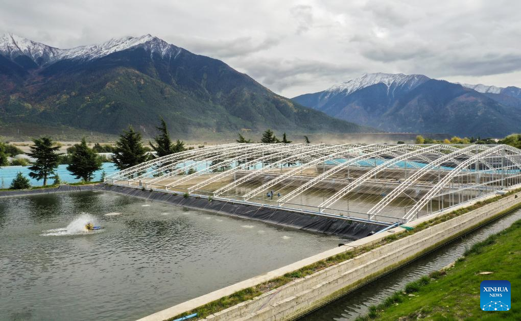 Seafood Media Group - Worldnews - Aquaculture industry thrives in Milin ...