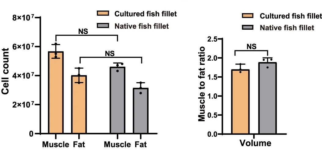 Seafood Media Group - Worldnews - Lab-grown fish fillets promise to ...