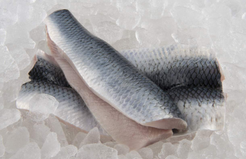 Seafood Media Group - Noticias - Situación del mercado mundial del ...