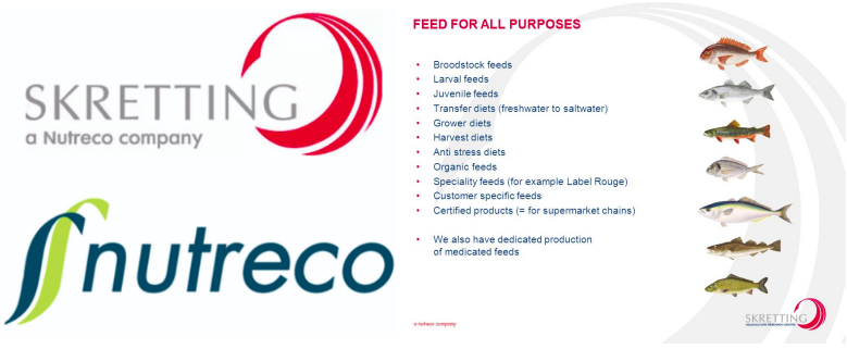 FIS - Proveedores - Detalles de Compañía