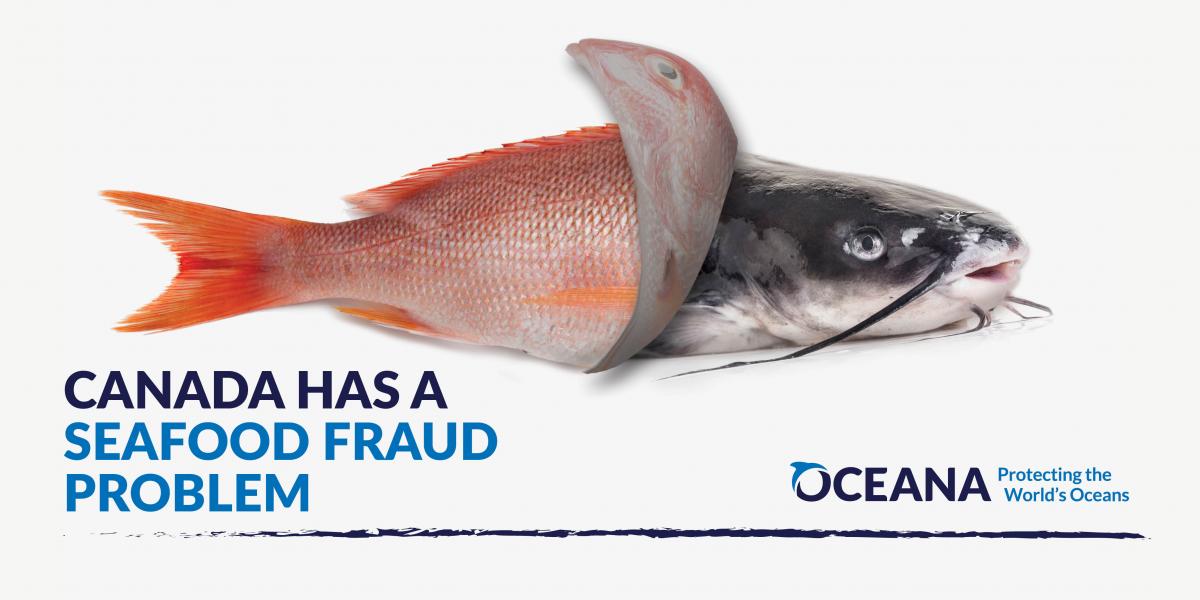 FIS - Companies & Products - Can handheld DNA testing technology stand ...