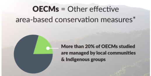Seafood Media Group - Worldnews - How can informal protected areas help ...