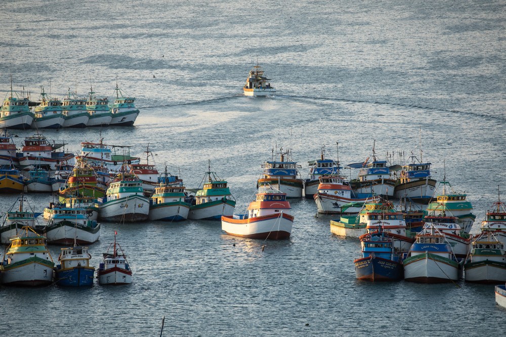 Seafood Media Group - Worldnews - Shaping Sustainability in Peru's ...