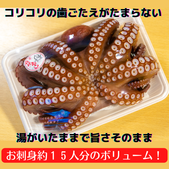 Seafood Media Group - Worldnews - FAO/Globefish: Octopus 'It looks like ...