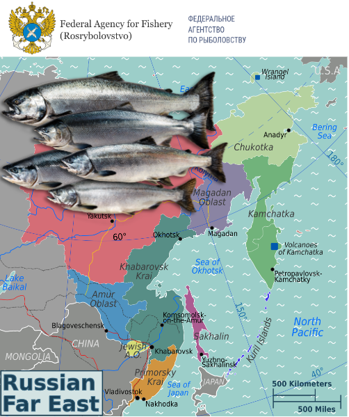 Seafood Media Group - Worldnews - Russian fishermen have caught more ...