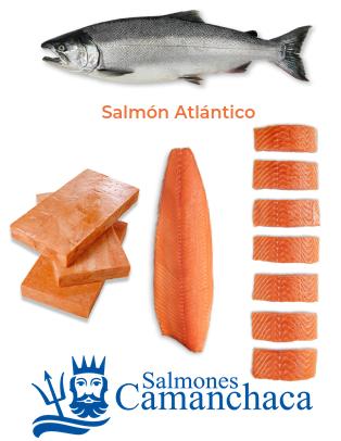 Seafood Media Group - Worldnews - Salmones Camanchaca obtains favorable ...