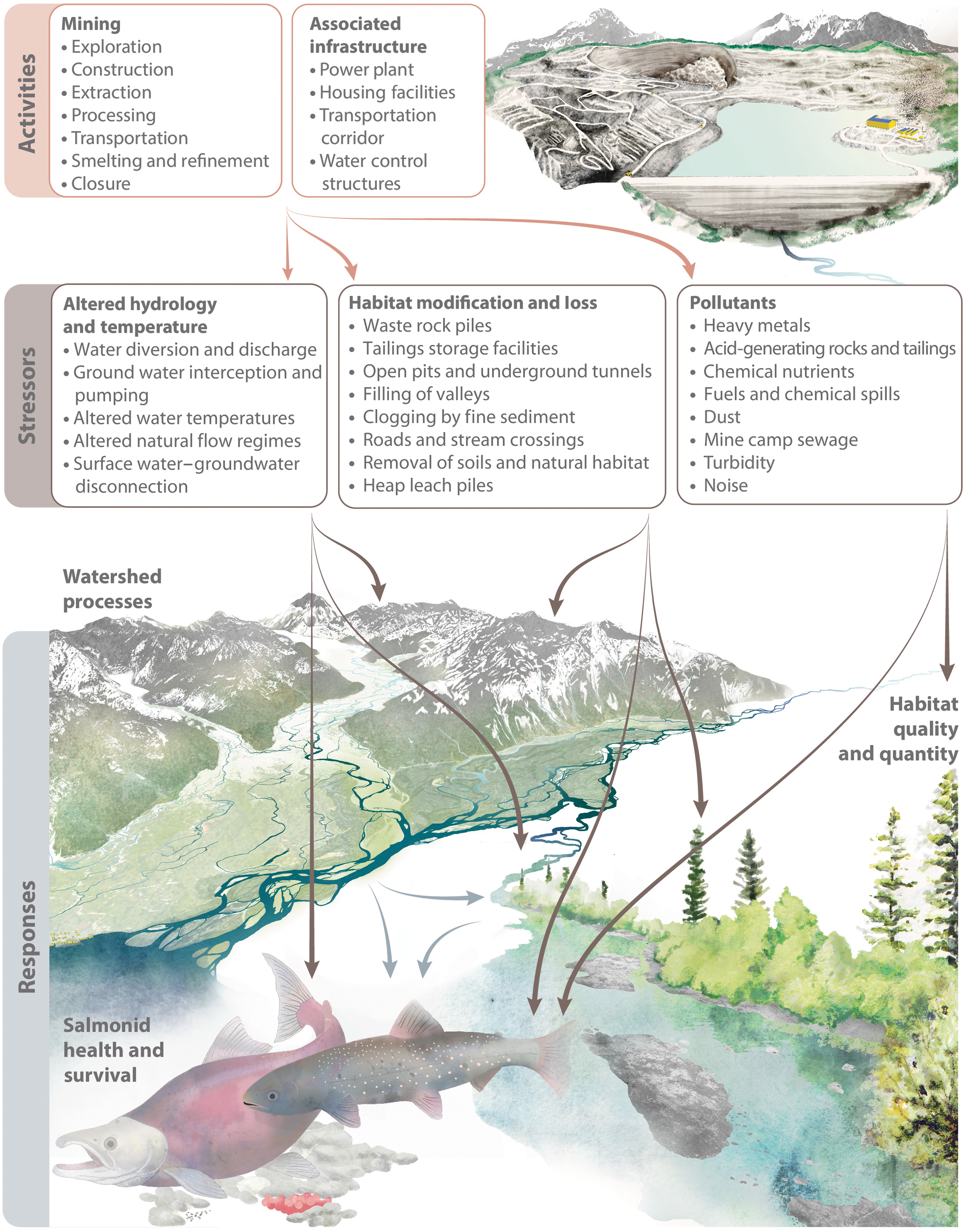 Seafood Media Group - Worldnews - Mining poses greater threats to ...
