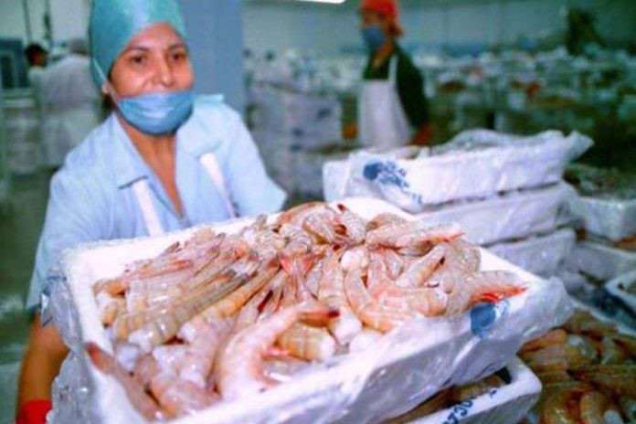 Seafood Media Group - Worldnews - Shrimp exports from Ecuador are ...