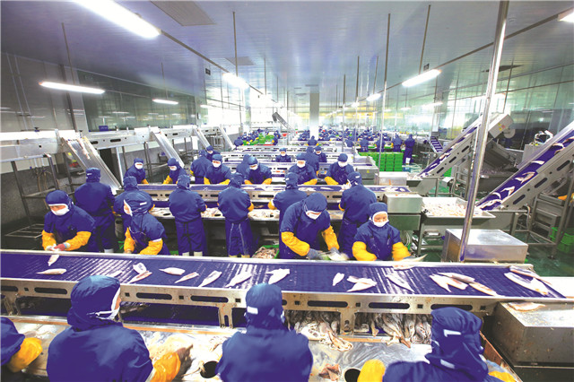 FIS - Companies & Products - The Chinese organization that operates ...