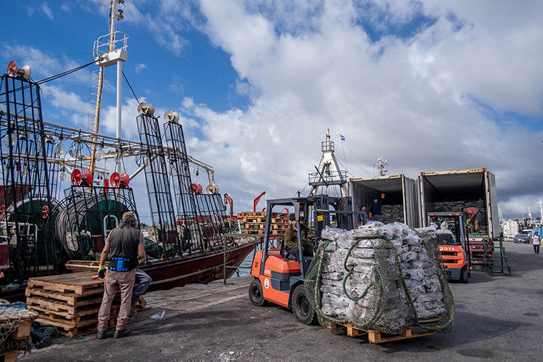 Seafood Media Group - Worldnews - Jigger Fleet Increases Squid Catches ...