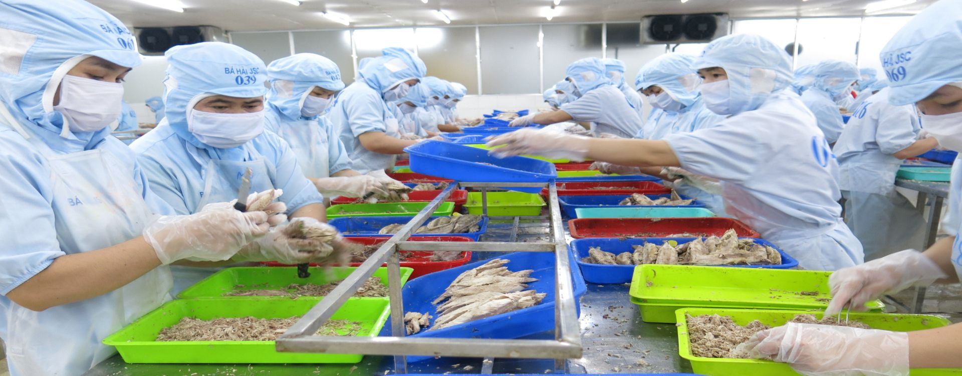 Seafood Media Group - Worldnews - Yellowfin Tuna Prices Expected to ...