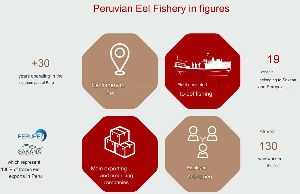 Seafood Media Group - Worldnews - Fisheries Certification: Peru is in ...