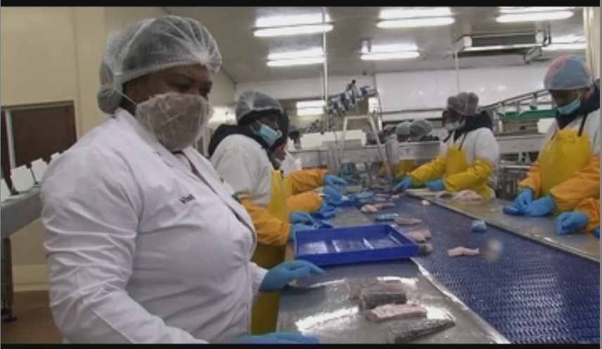 Seafood Media Group - Worldnews - Tunacor takes in retrenched fishermen