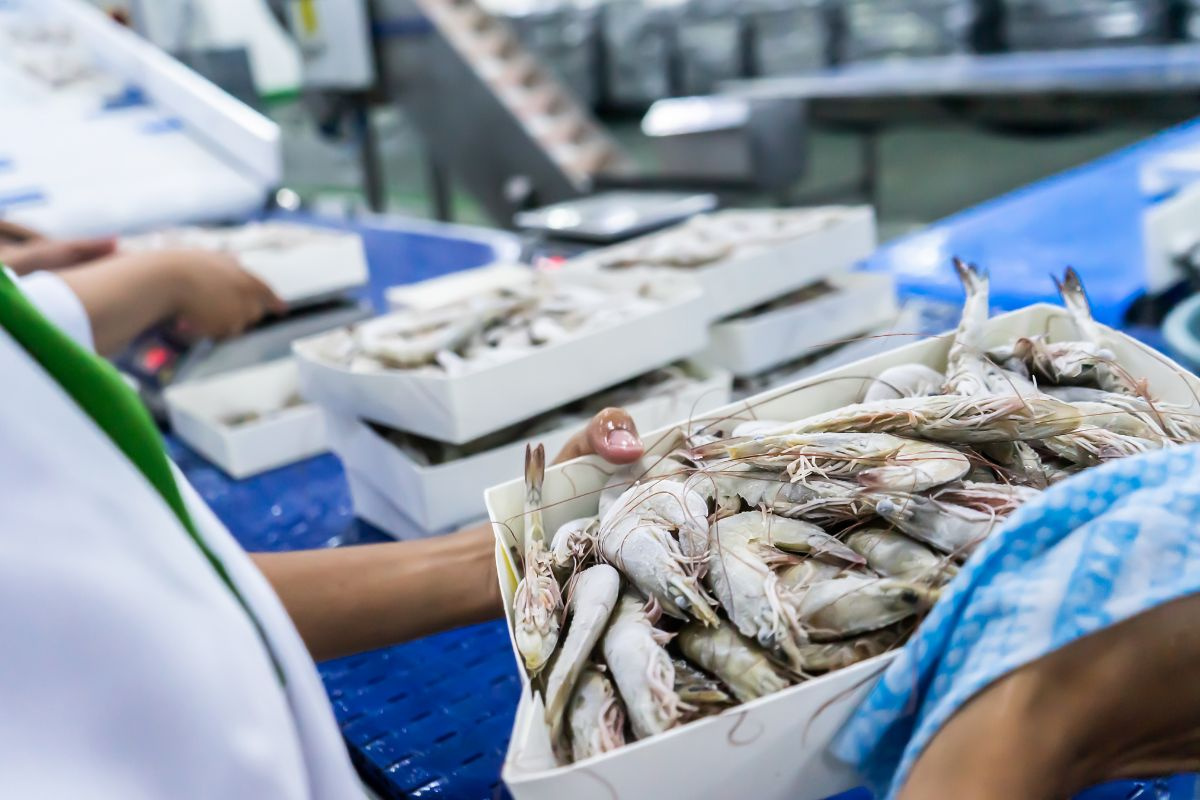 Seafood Media Group - Worldnews - Vietnam's Seafood Exports in 2025 ...