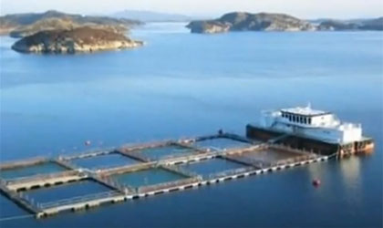 FIS - Companies & Products - Feed Barge-Solutions for Modern Fish Farming