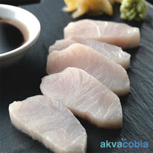 FIS - Companies & Products - Nordic Group to Market Frozen Cobia ...